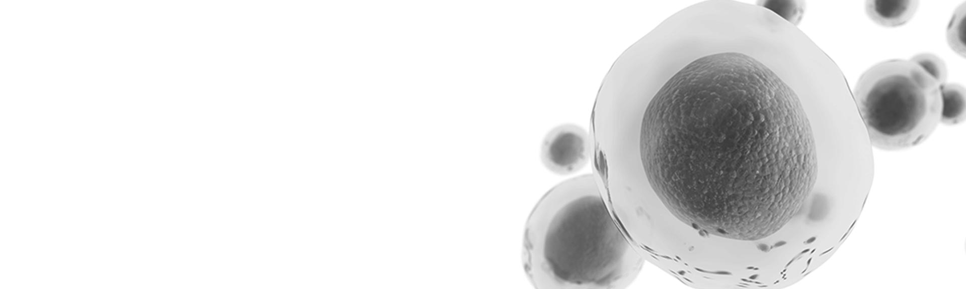 Flow cytometry | Hamamatsu Photonics