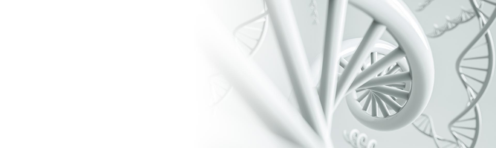 PCR Polymerase chain reaction (PCR) | Hamamatsu Photonics