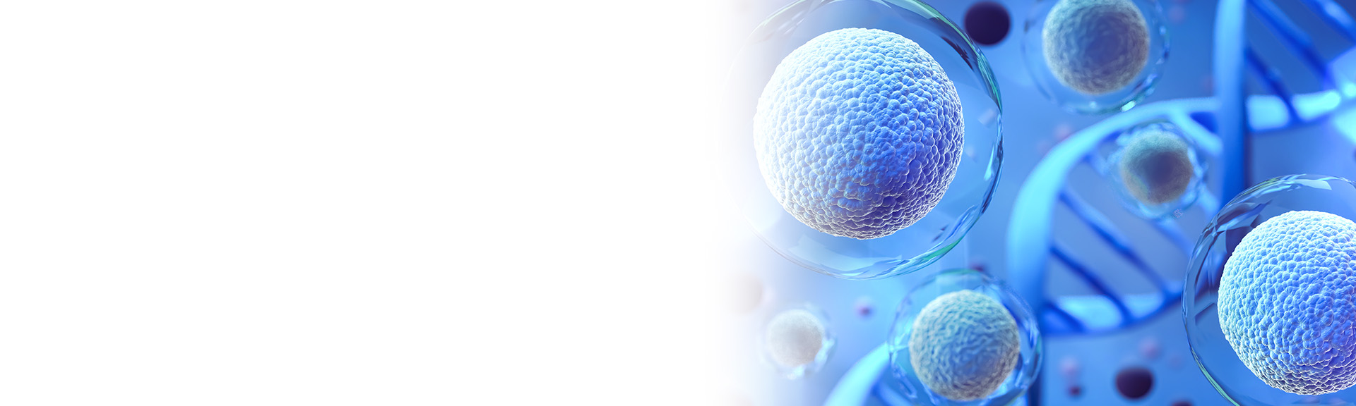 Flow cytometer | Hamamatsu Photonics