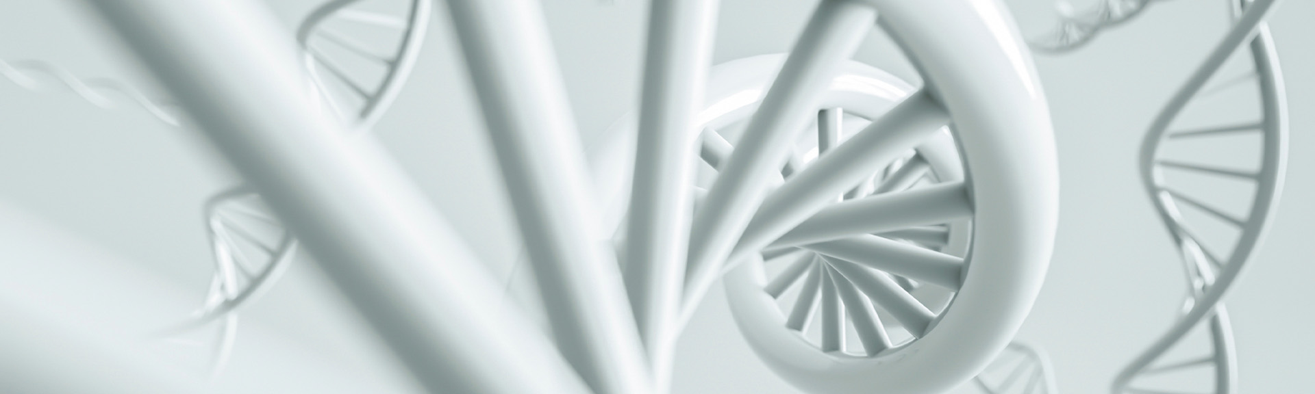 Polymerase chain reaction (PCR) | Hamamatsu Photonics