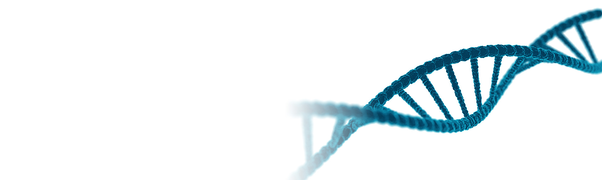 Genetic analysis | Hamamatsu Photonics