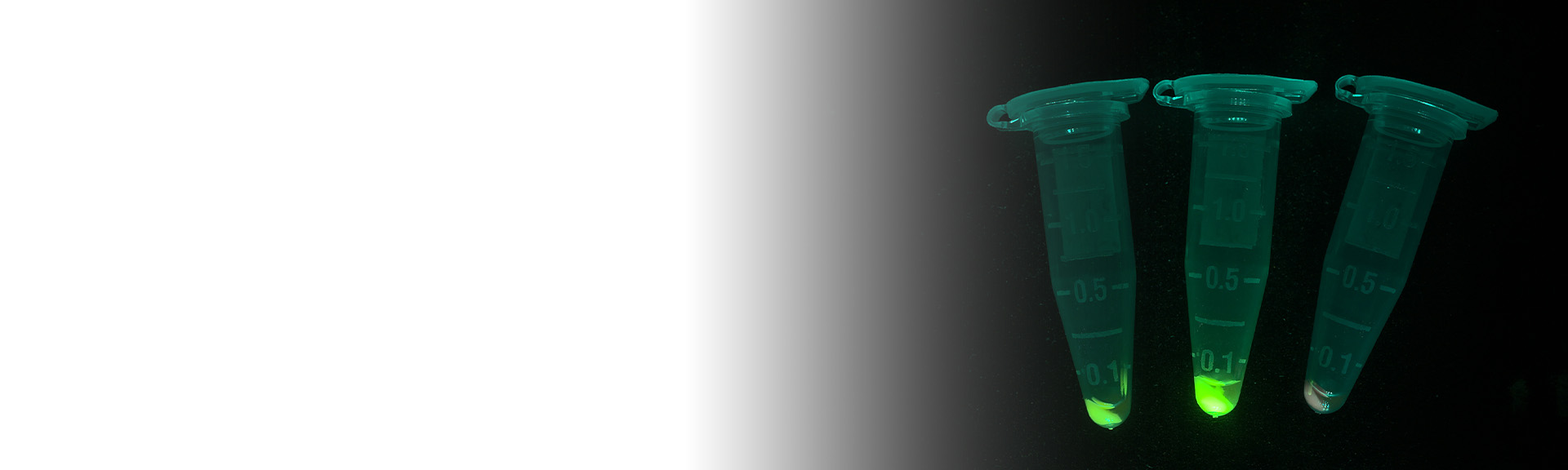 Fluorescence lifetime measurement | Hamamatsu Photonics