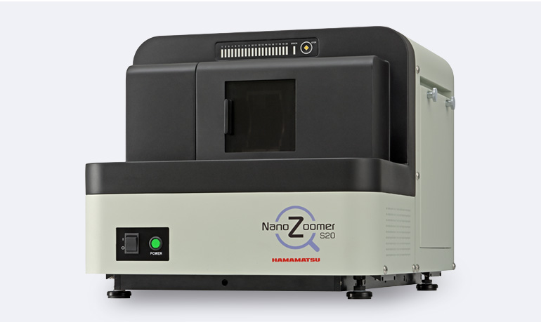 Life science & medical systems | Hamamatsu Photonics