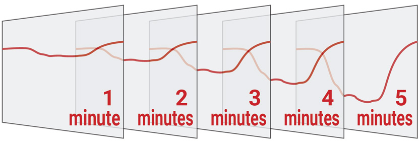 Features | Immunochromato Reader (Lateral flow reader) | Hamamatsu Photonics