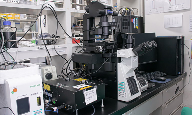 3D live cell imaging analysis of epidermal keratinocytes 【Tokyo ...