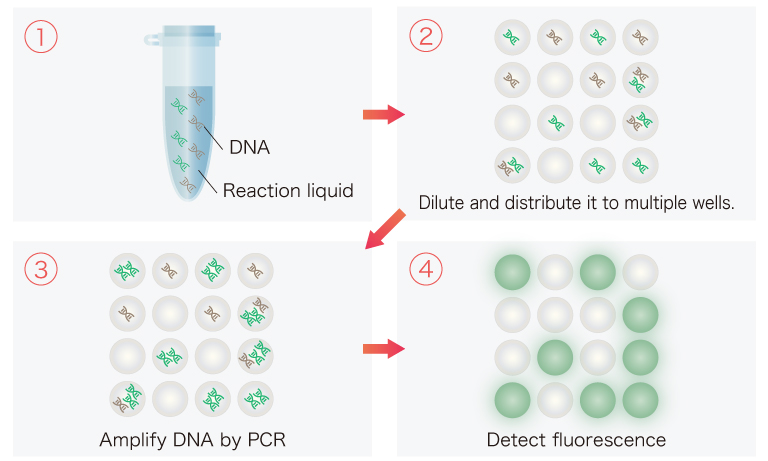 Genetic analysis | Hamamatsu Photonics