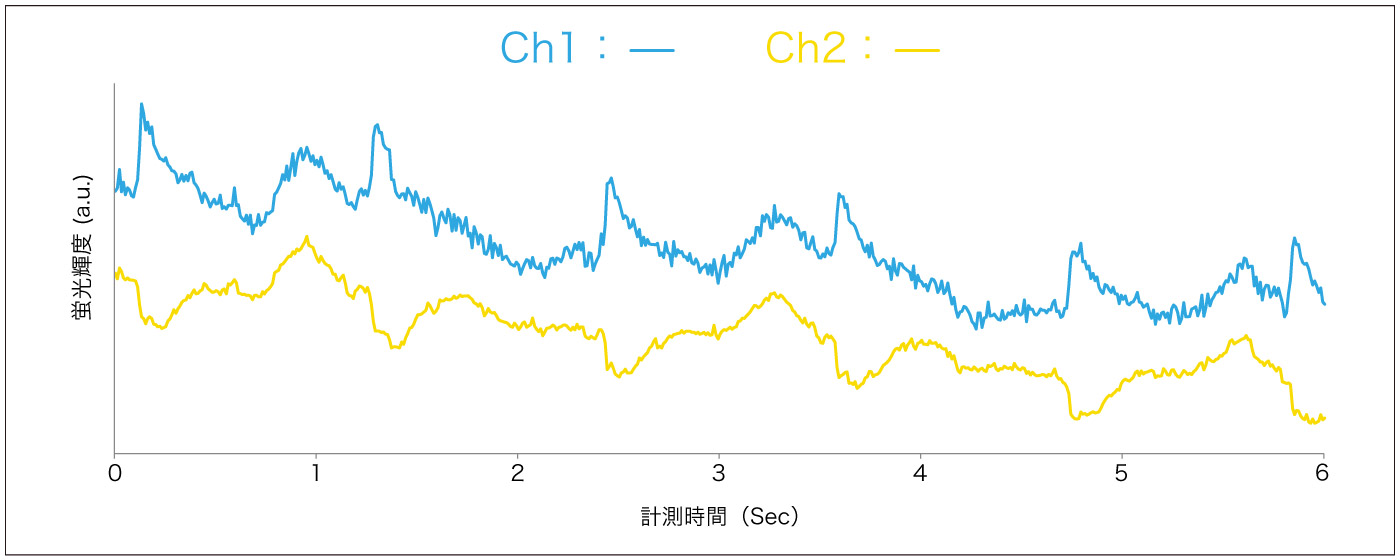 実測データで見る2波長レシオイメージング | 浜松ホトニクス