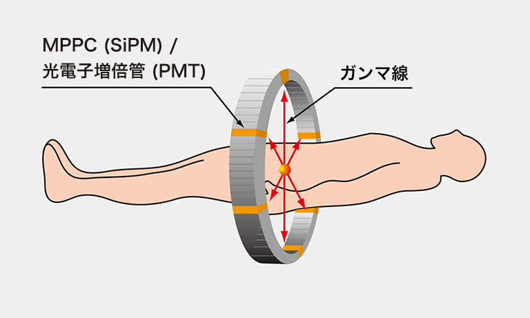 PET診断装置 | 浜松ホトニクス
