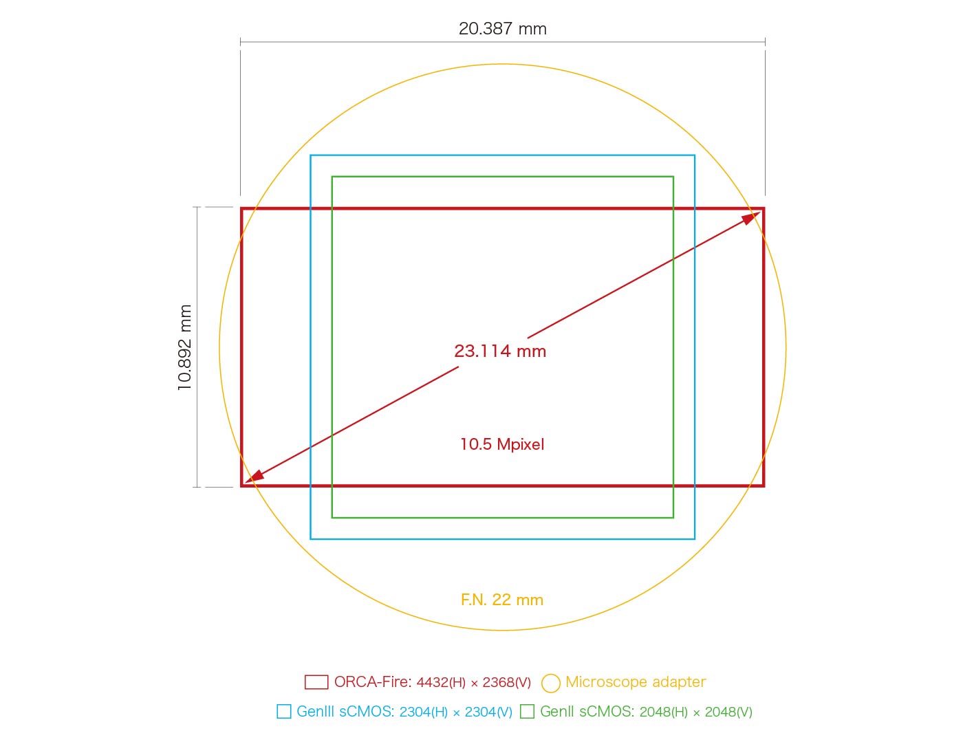 ORCA-Fire Digital CMOS camera C16240-20UP | Hamamatsu Photonics