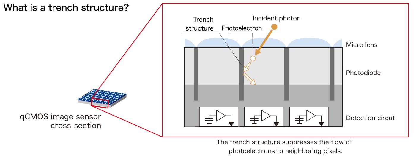 Features | qCMOS cameras | Hamamatsu Photonics
