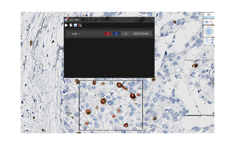 NDP.view2 Viewing software U12388-01 | Hamamatsu Photonics