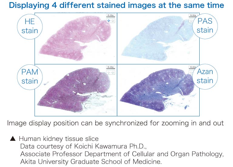 NDP.view2 Viewing software U12388-01 | Hamamatsu Photonics