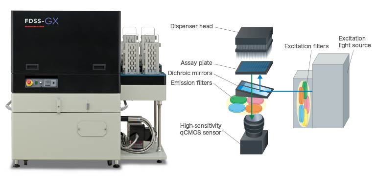 FDSS-GX kinetic Plate Imager C15711-02 | Hamamatsu Photonics