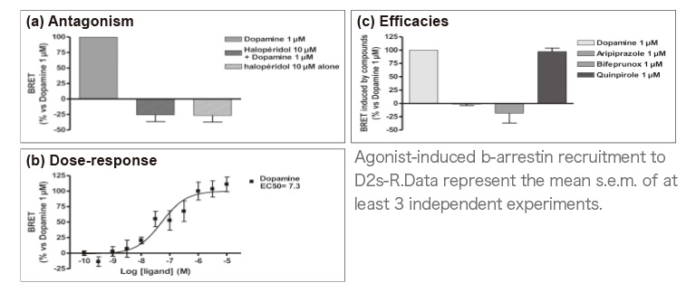 FDSS-GX kinetic Plate Imager C15711-02 | Hamamatsu Photonics