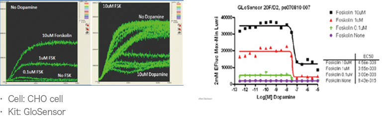 FDSS-GX Kinetic Plate Imager C15711-02 | Hamamatsu Photonics