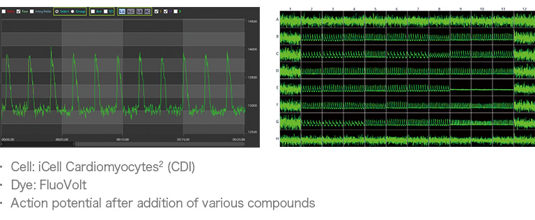 FDSS-GX Kinetic Plate Imager C15711-02 | Hamamatsu Photonics